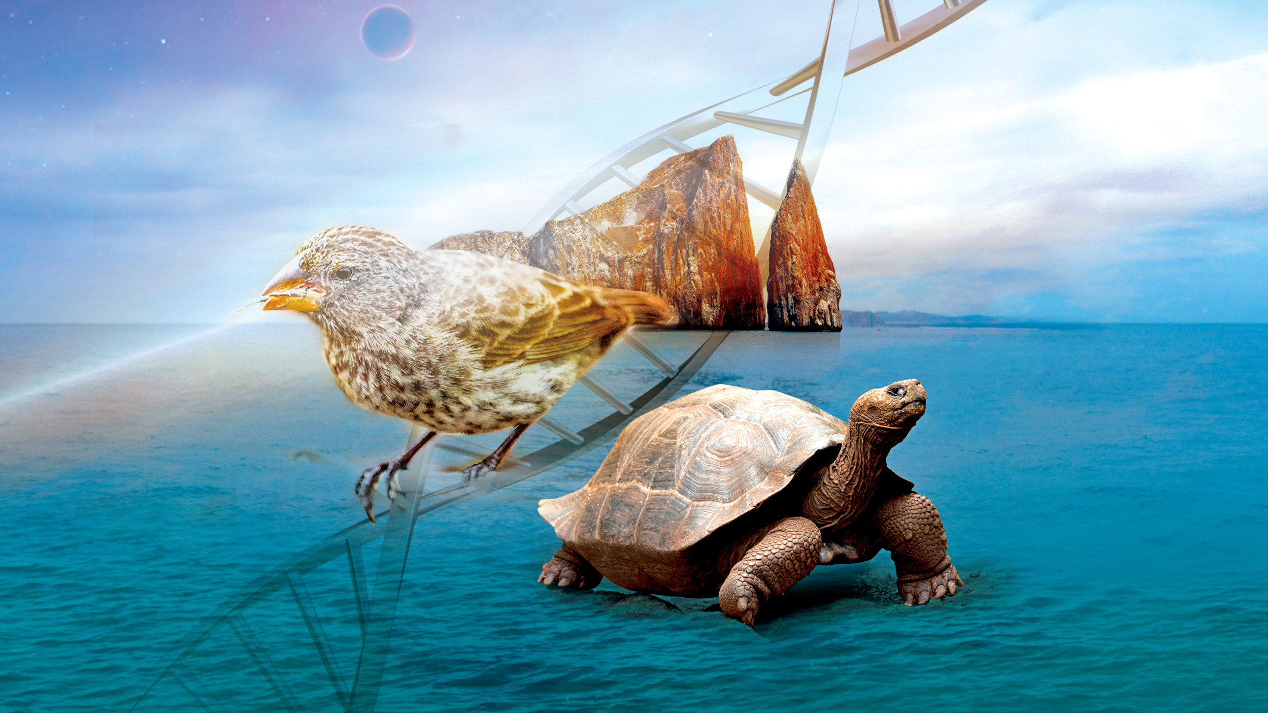 Anais Salazar Revista H