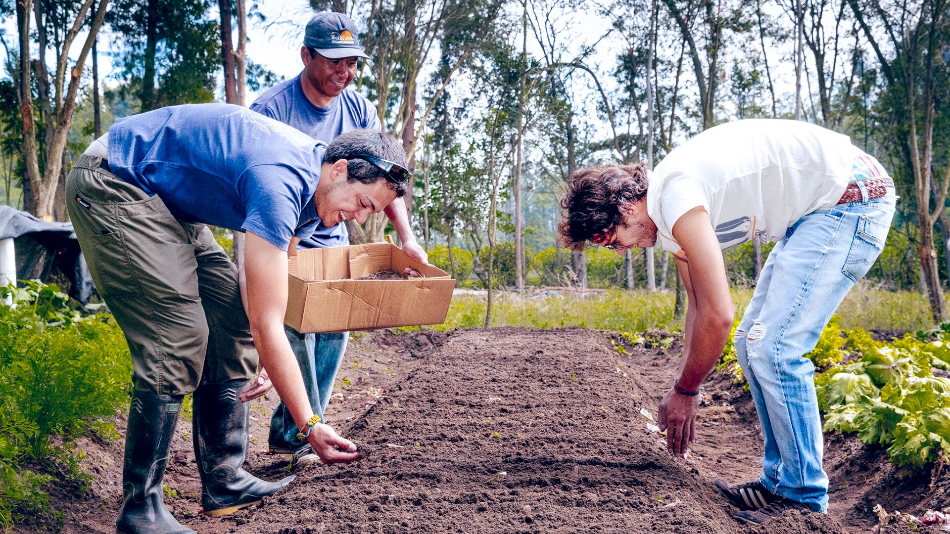Ingeniería en Agronomía* | Universidad San Francisco de Quito