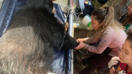 Tueri | Universidad San Francisco de Quito