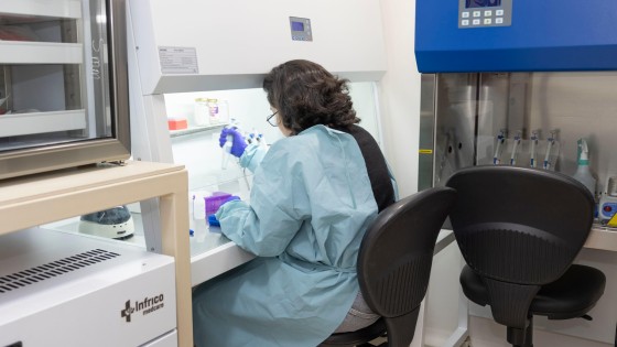 Laboratorio Microbiología Clínica LABOMIC | Universidad San Francisco ...